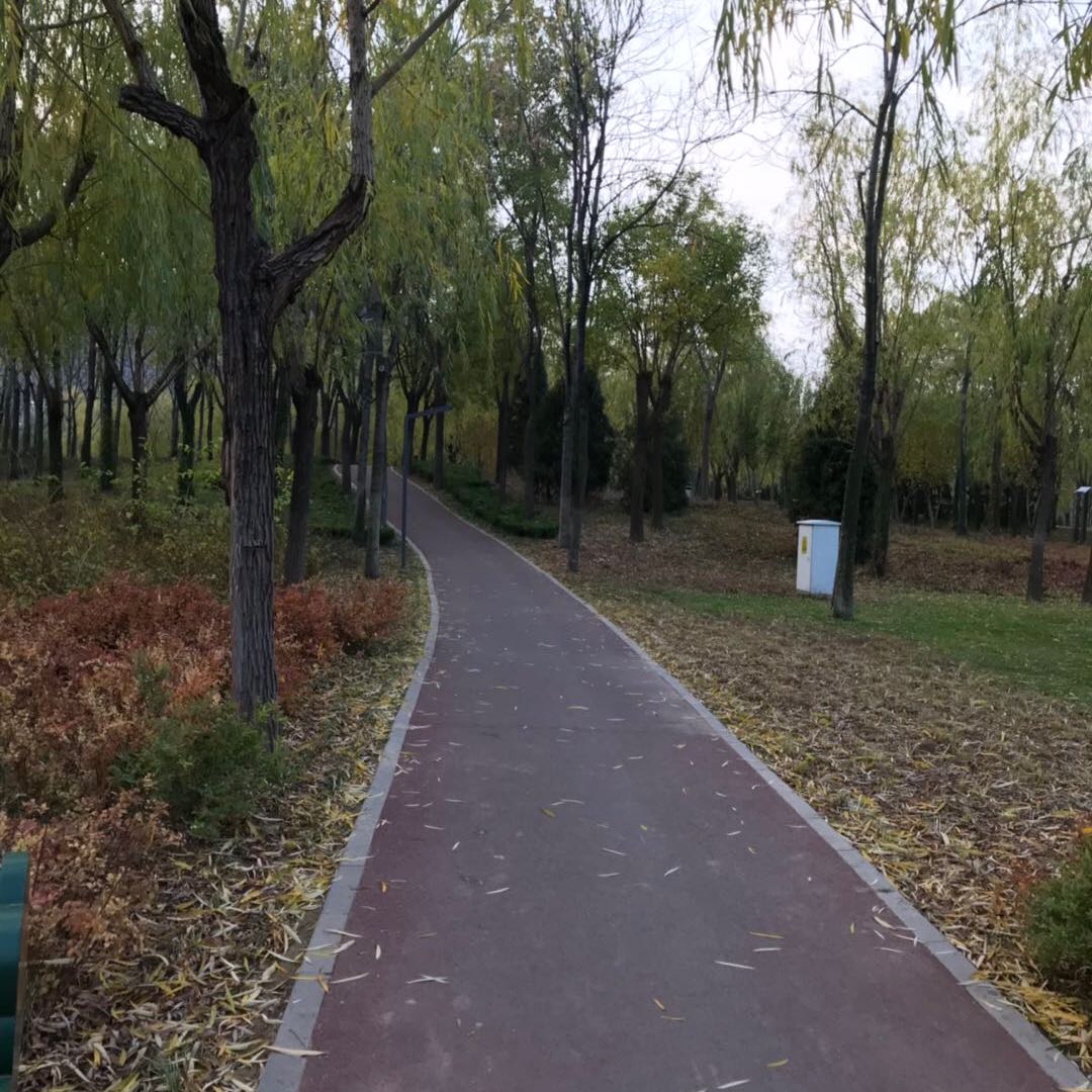 登录 - 信永中和云课堂 - 激发潜能 成就未来 - Powered By EduSoho