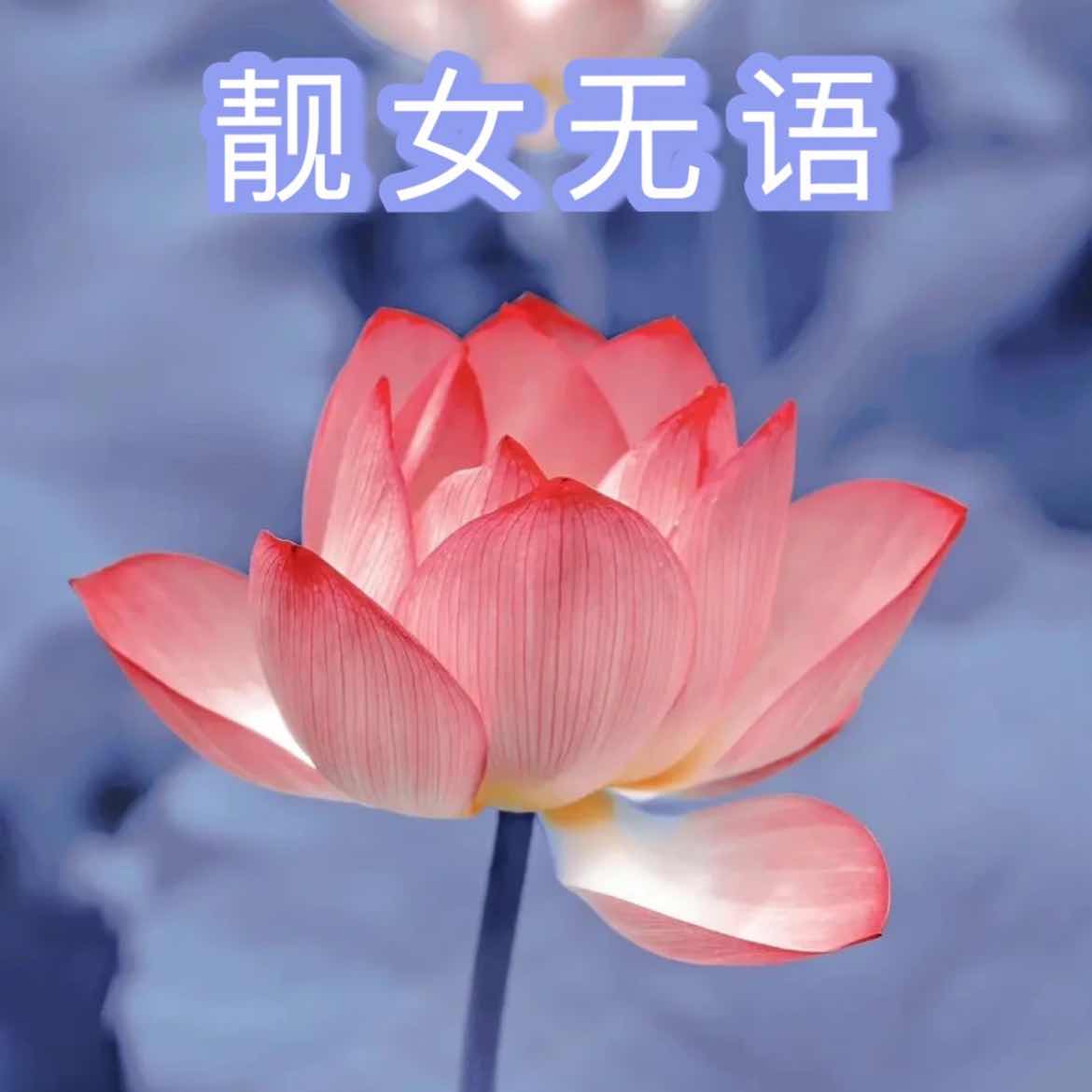 登录 - 信永中和云课堂 - 激发潜能 成就未来 - Powered By EduSoho