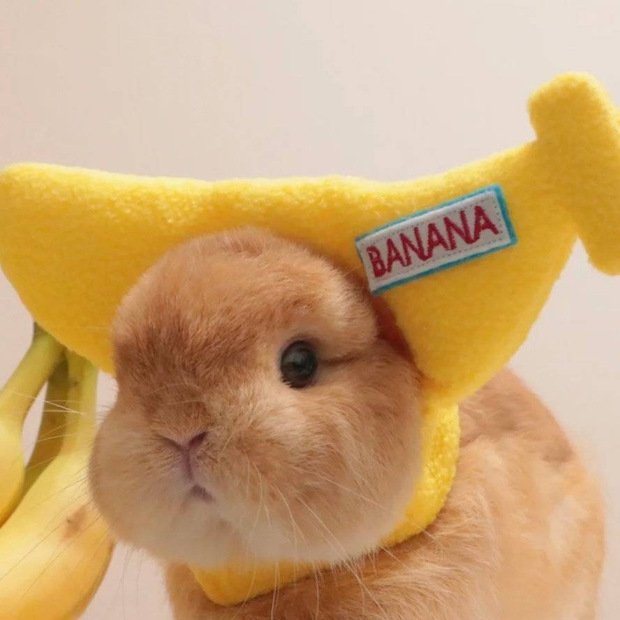 登录 - 信永中和云课堂 - 让信念之翼恒久闪光 - Powered By EduSoho