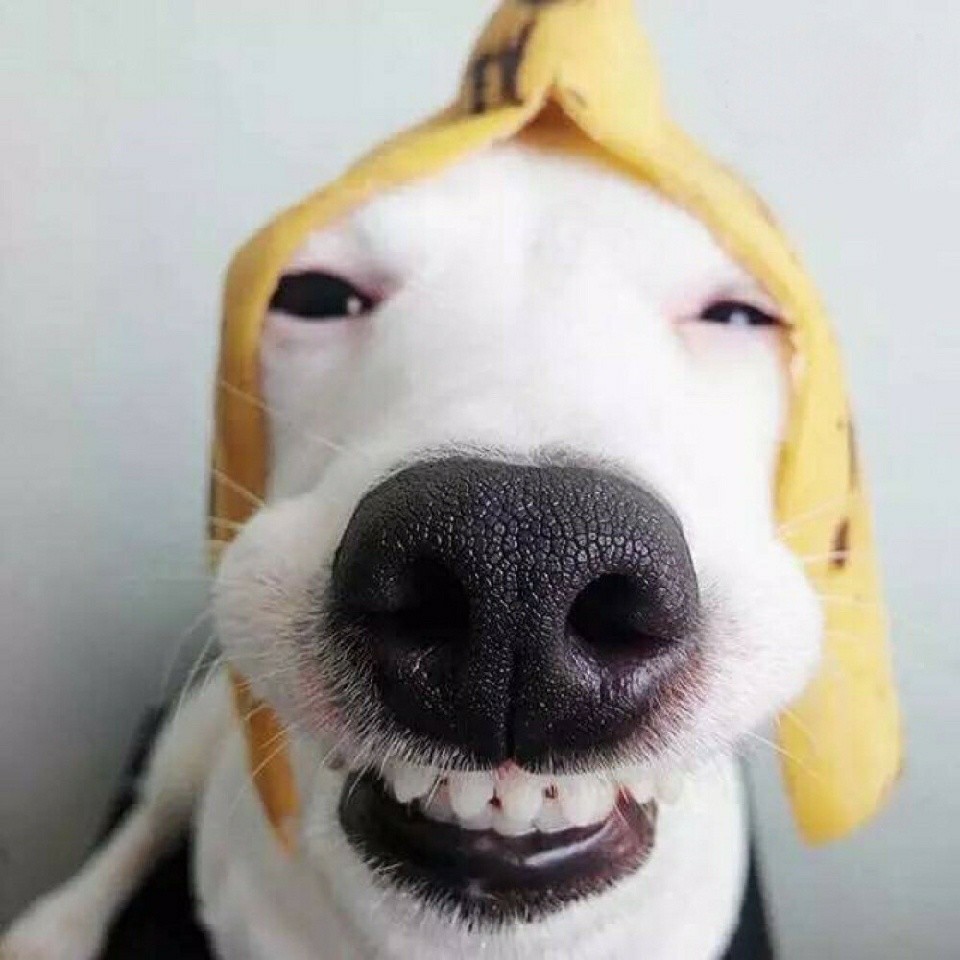 登录 - 信永中和云课堂 - 激发潜能 成就未来 - Powered By EduSoho