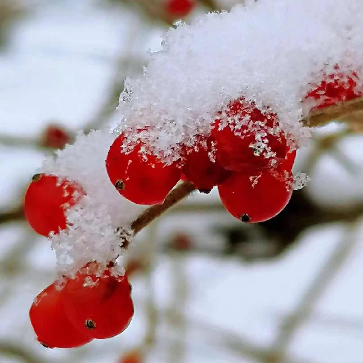 登录 - 信永中和云课堂 - 激发潜能 成就未来 - Powered By EduSoho