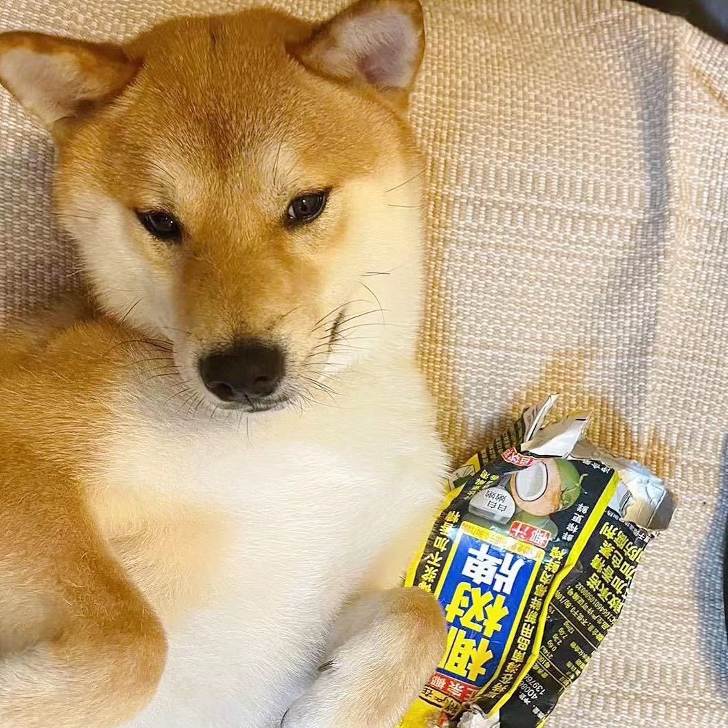 登录 - 信永中和云课堂 - 让信念之翼恒久闪光 - Powered By EduSoho