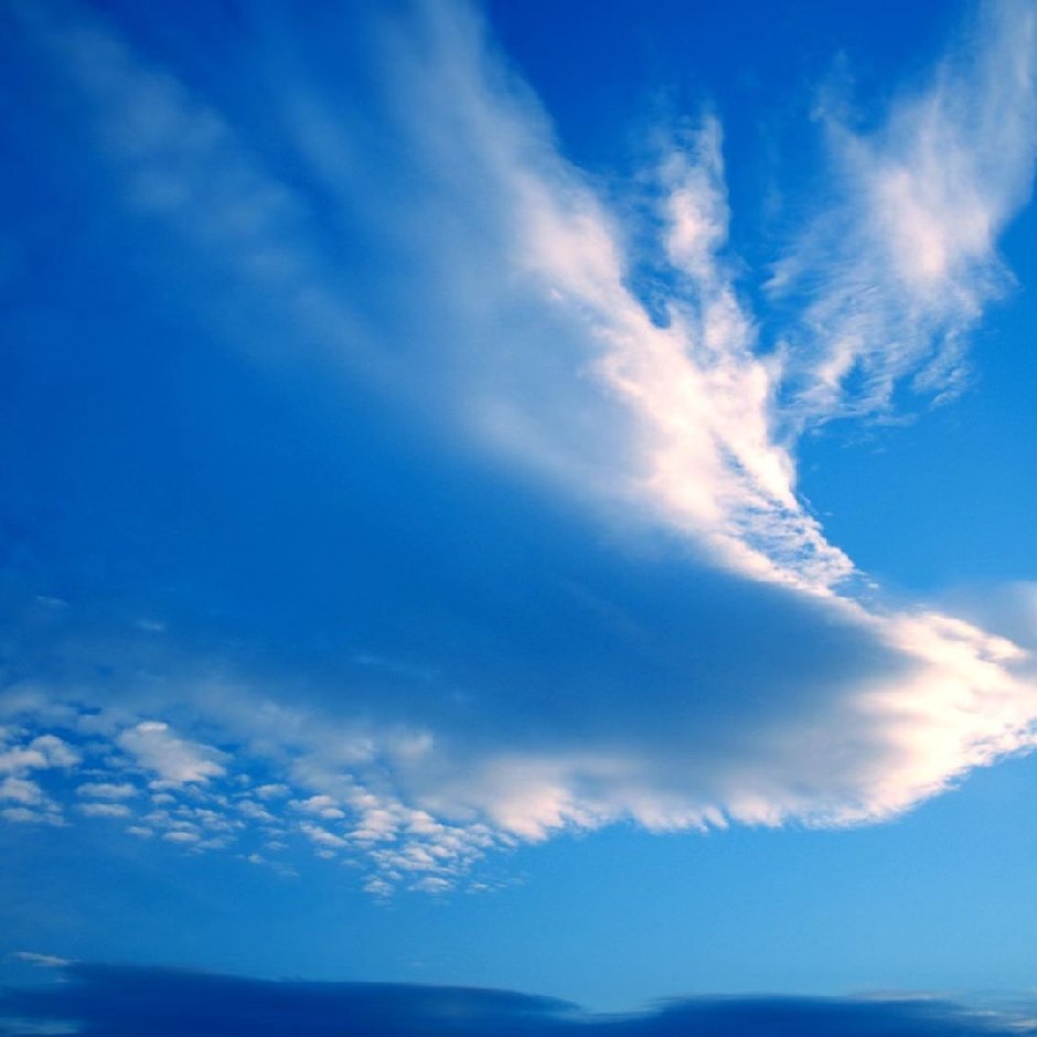 登录 - 信永中和云课堂 - 激发潜能 成就未来 - Powered By EduSoho