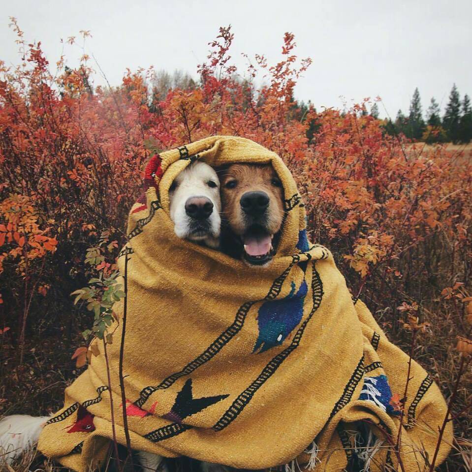 登录 - 信永中和云课堂 - 激发潜能 成就未来 - Powered By EduSoho