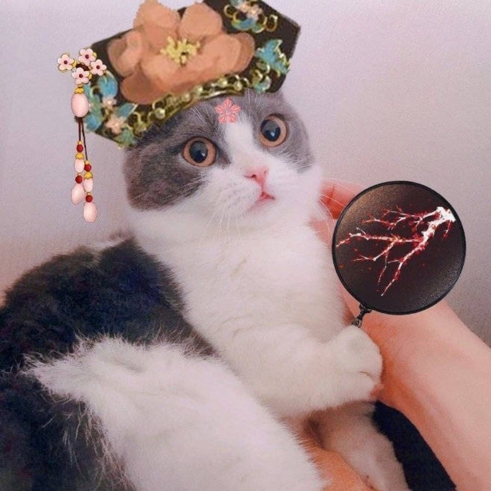 登录 - 信永中和云课堂 - 激发潜能 成就未来 - Powered By EduSoho